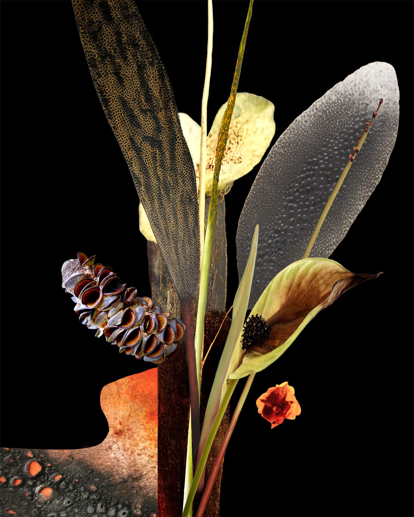 Katherine Boland – Hawkesbury Art Prize